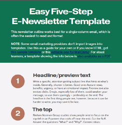 Free Ready-to-Use 5-Step Business E-Newsletter Template